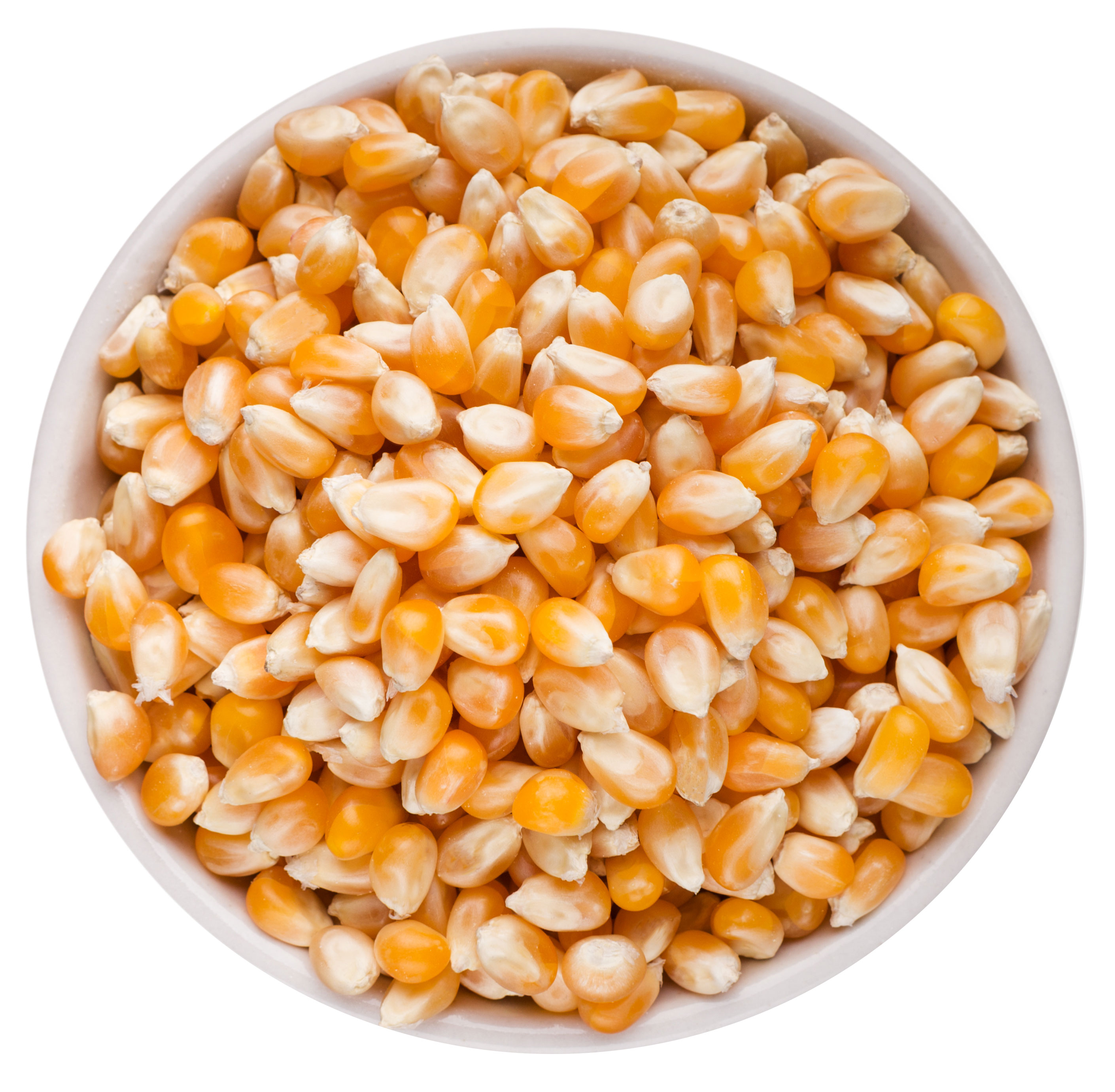 Popcorn Mais » Popcorn-Rezepte.de